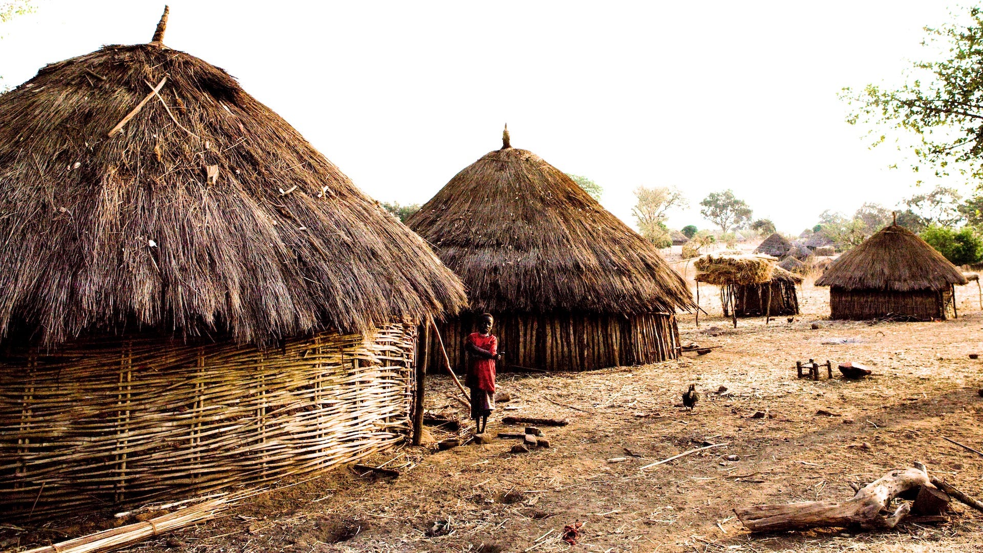 This is colonization by invitation: land grabbing and its dire ...