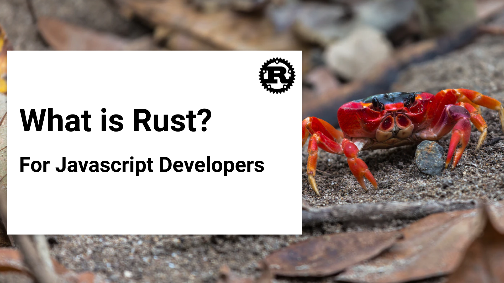 🦀 What is Rust? For Javascript Developers | by Riccardo Giorato | The ...