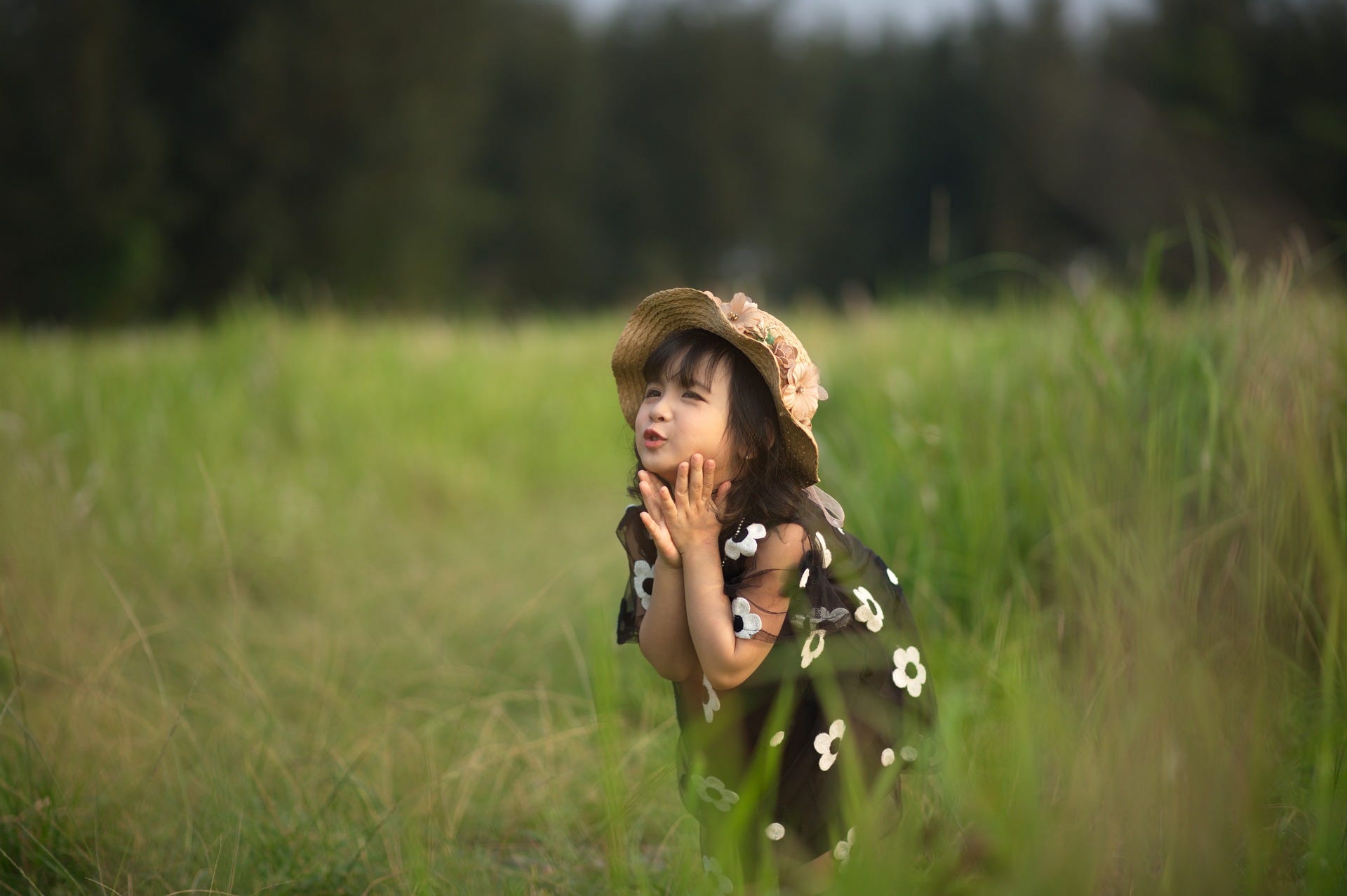 The Land of Loving Fools. Poem on enjoying my life being a fool… | by ...