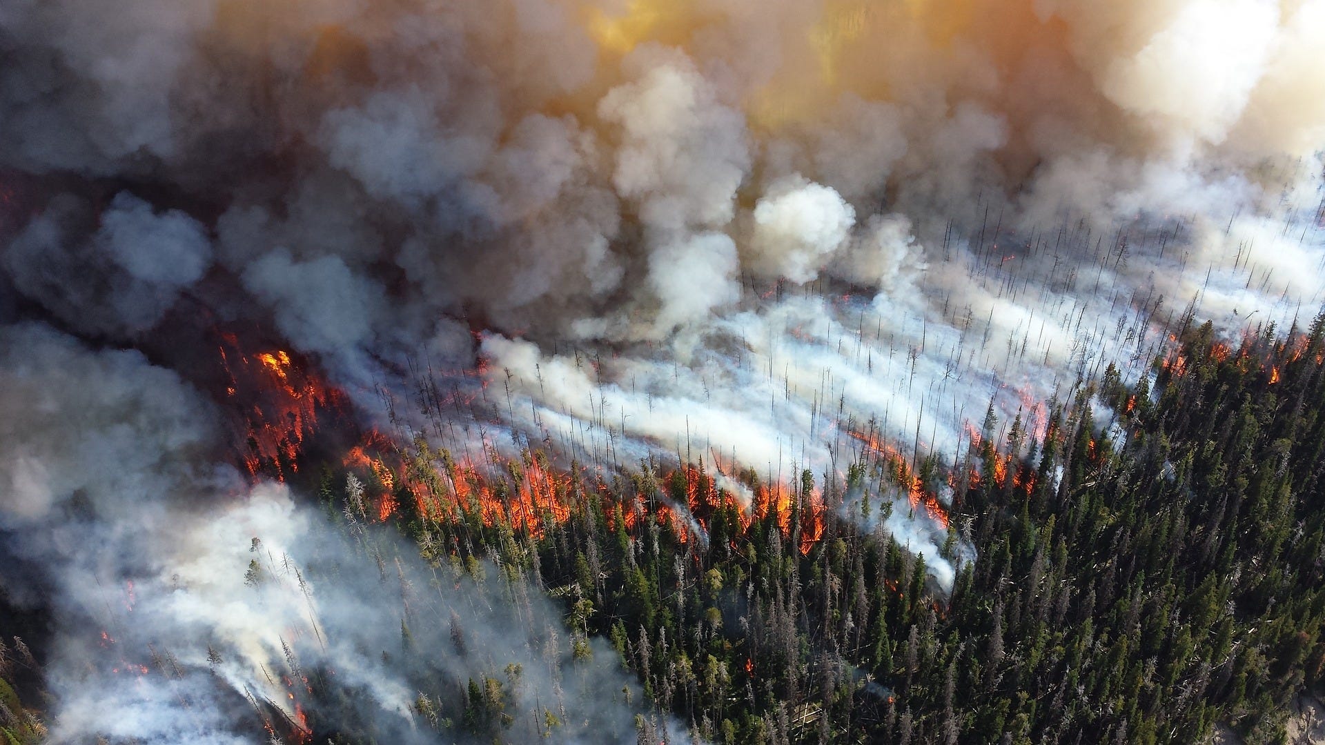 Two Graphs That Explain Why California’s Wildfires Will Only Get Worse ...