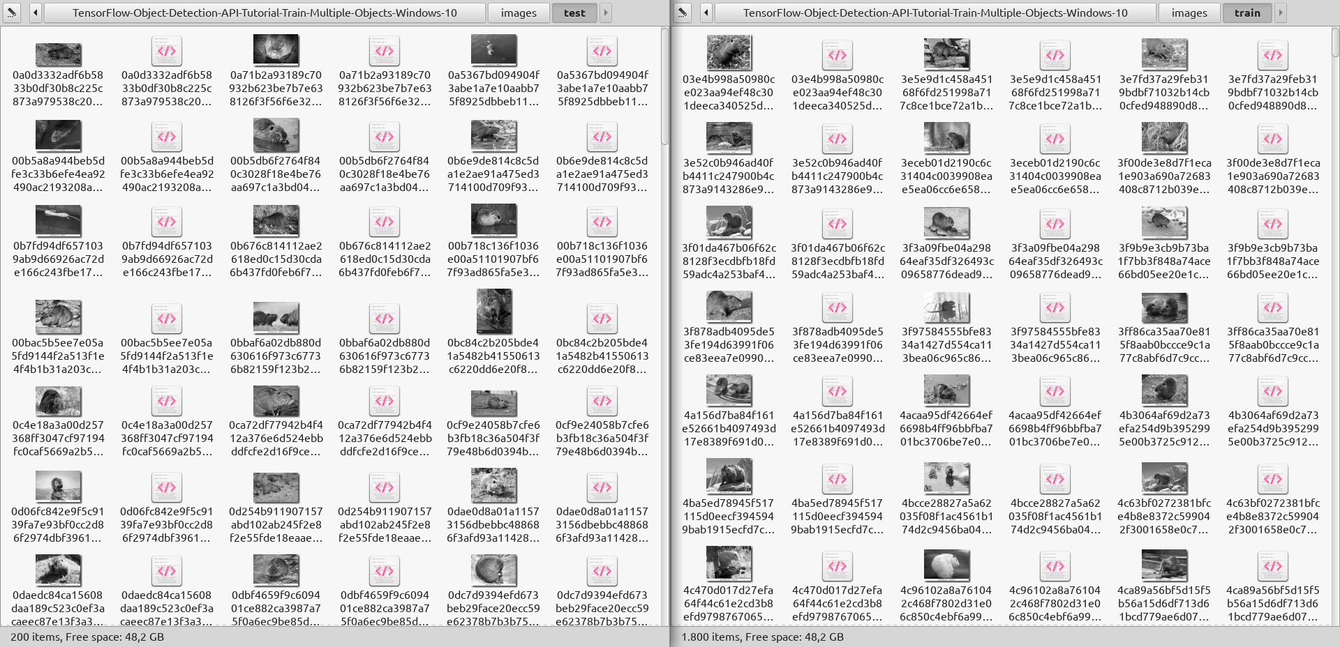 Object Detection With Tensorflow On Raspberry Pi By Elenche Zététique Medium
