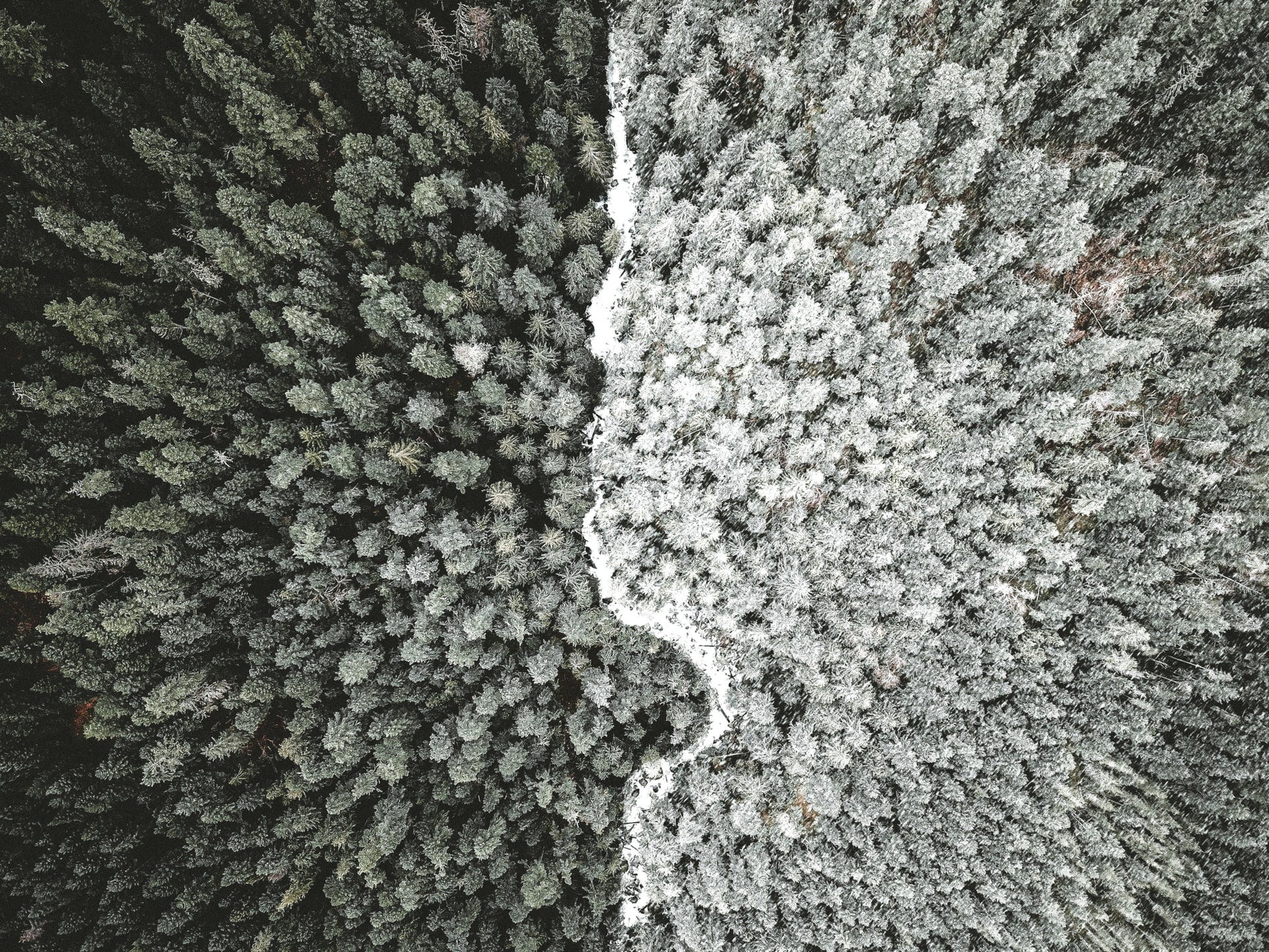 Clustering con DBSCAN y HDBSCAN con Python y sus hiperparámetros en ... Clustering con DBSCAN y HDBSCAN con Python y sus hiperparámetros en ...