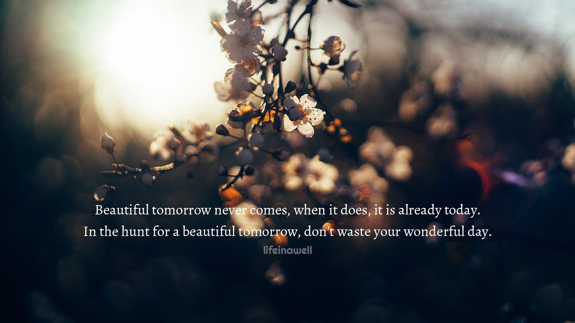 Beautiful Tomorrow Never Comes. Beautiful tomorrow never comes, so ...