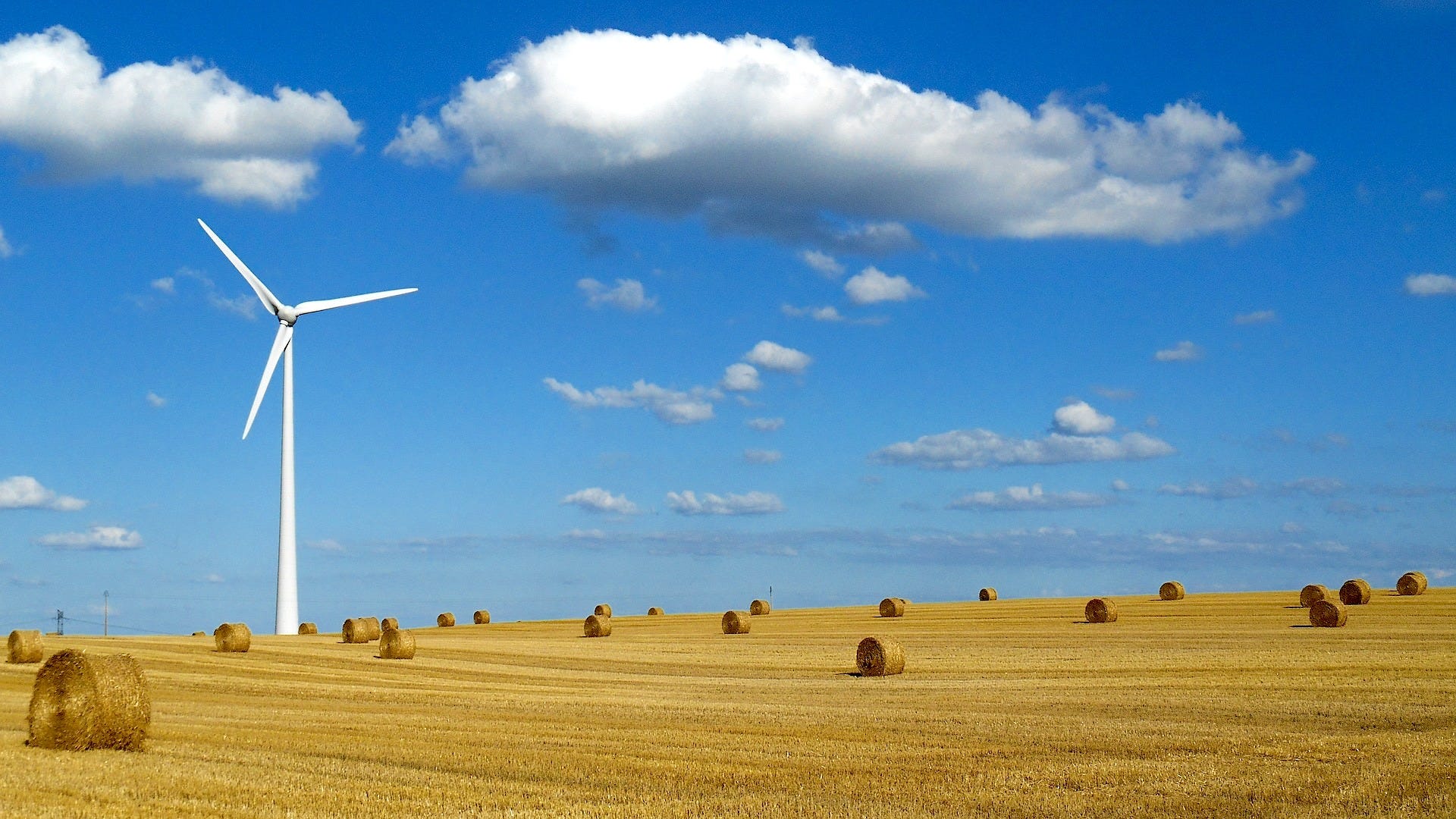 The Aesthetics of Wind Energy. Why beauty is in the eye of the… | by ...