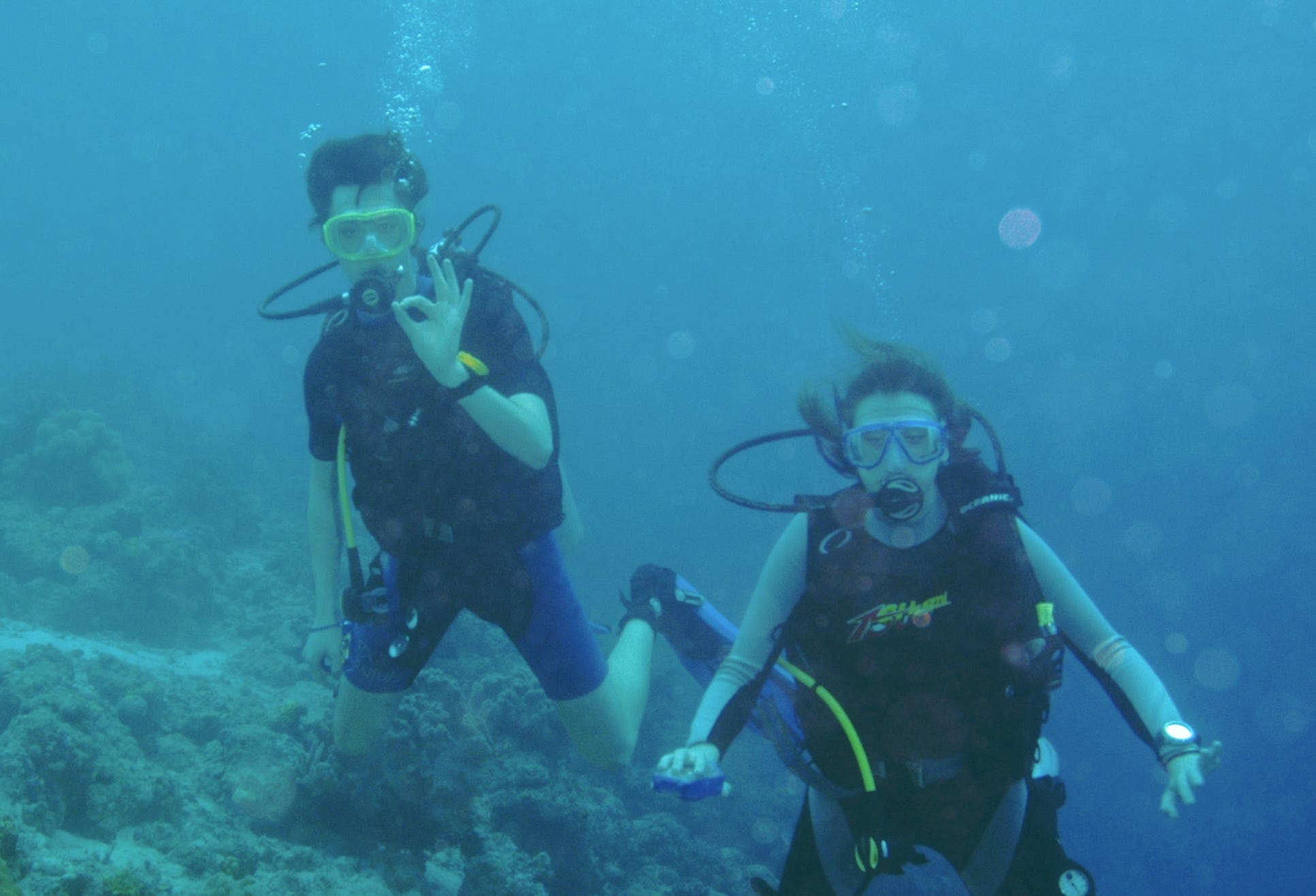 The marine biologist who found a new life on dry land | by University ...