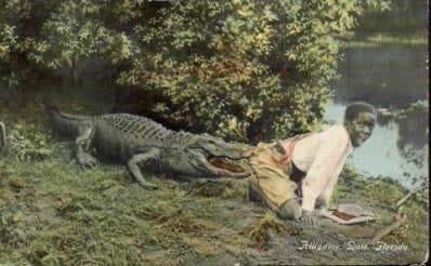 Black Babies used as Gator Bait? History versus Folklore | by Will ...