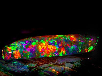 THE OPULENT OPAL IS BACK. Dubbed by Bloomberg as the “Comeback… | by ...