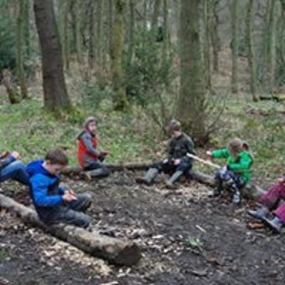 Wild in the Forest. Since starting Kirklees Wilder Kids I… | by Raising ...