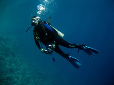 Avoiding Running Out of Oxygen While Scuba Diving | by Roger ...