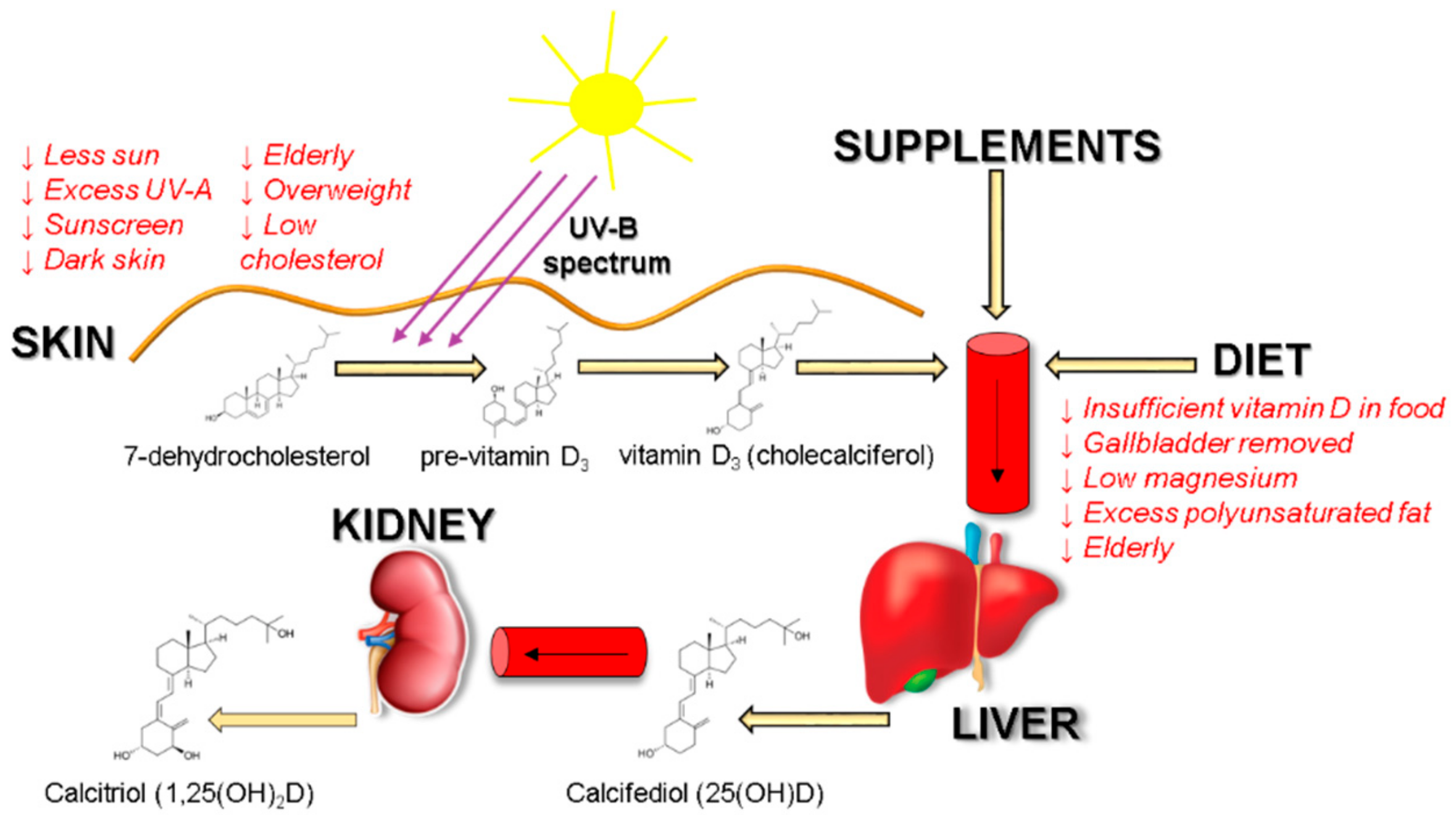 The First Clinical Trial To Support Vitamin D Therapy For Covid 19 By The First Clinical Trial To Support Vitamin D Therapy For Covid 19 By
