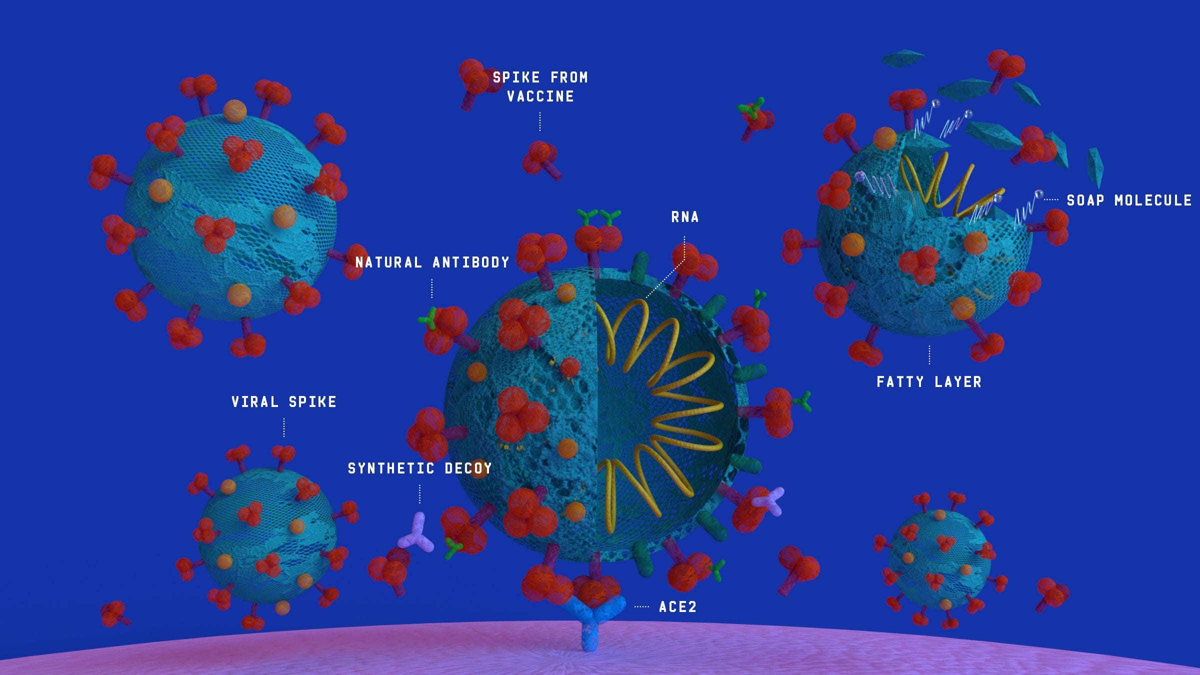 Researchers identify 14 different mutations of COVID-19 | by Faisal ...