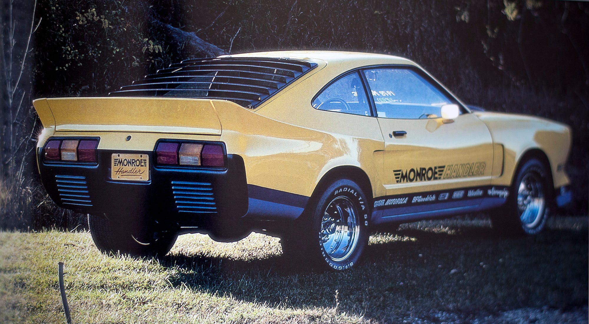 50 Years of Mustang - Forest Casey - Medium