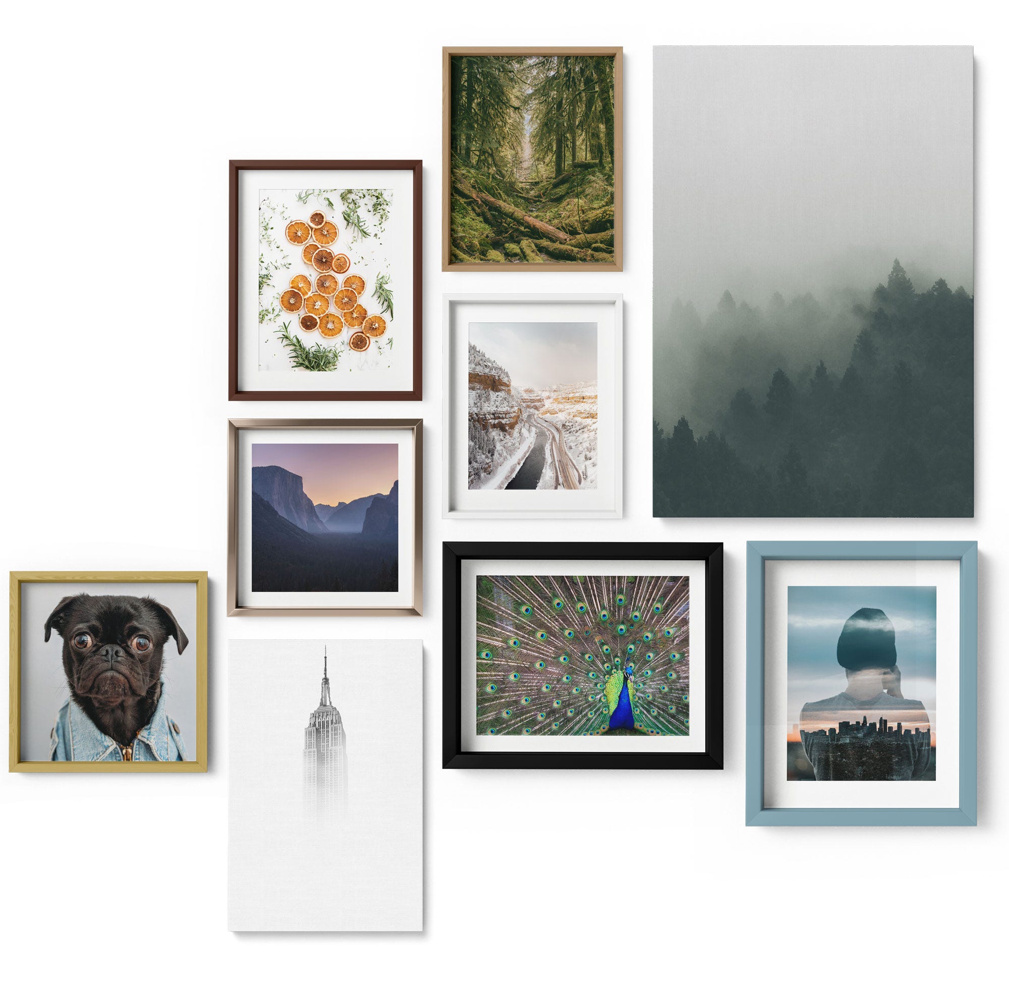 Visual Society Democratizes Photography Websites | by Xtra, Inc. | Xtra ...