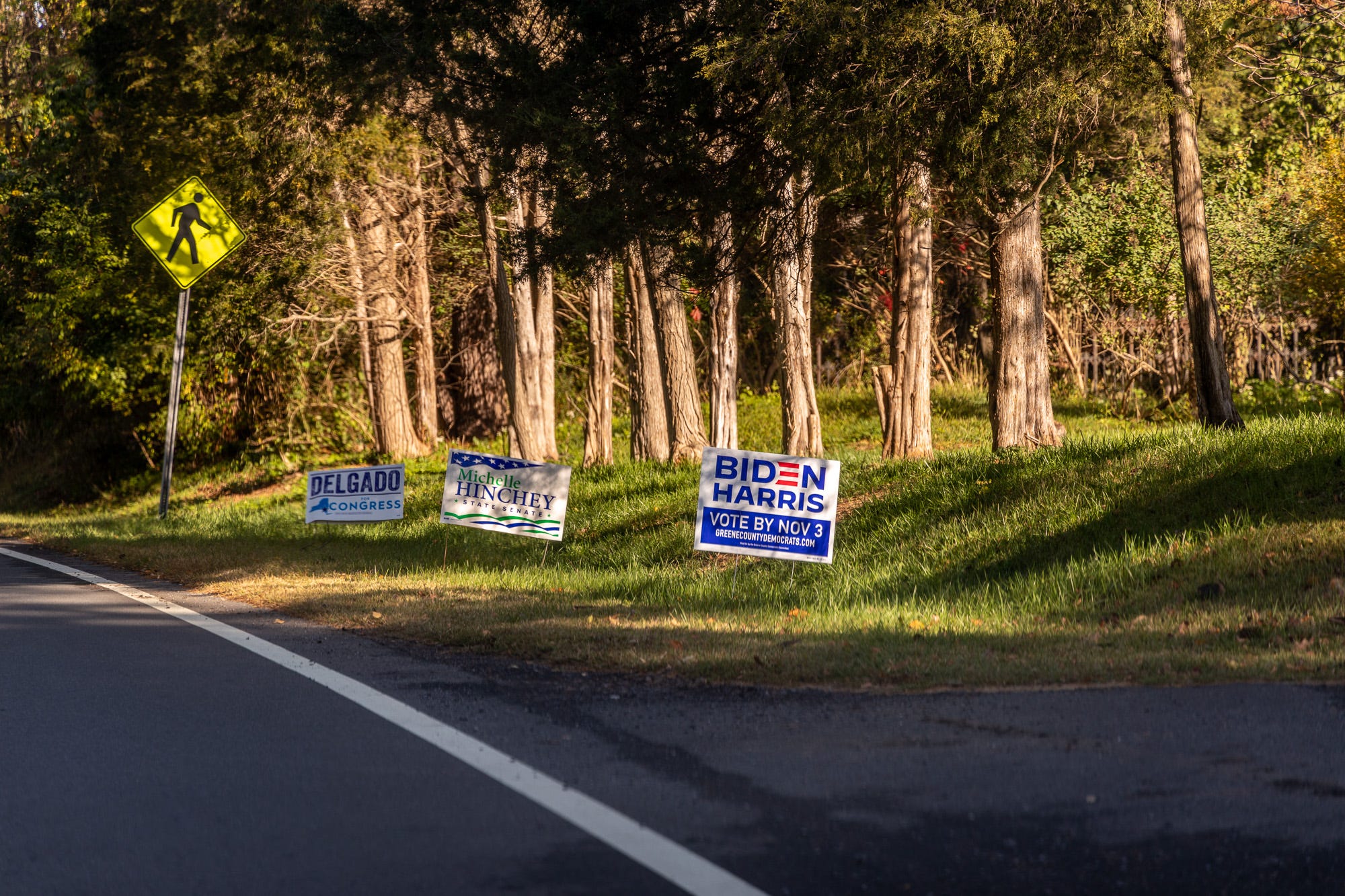 100 Yard Signs for Biden and Trump | by Alon Koppel | Vantage | Medium