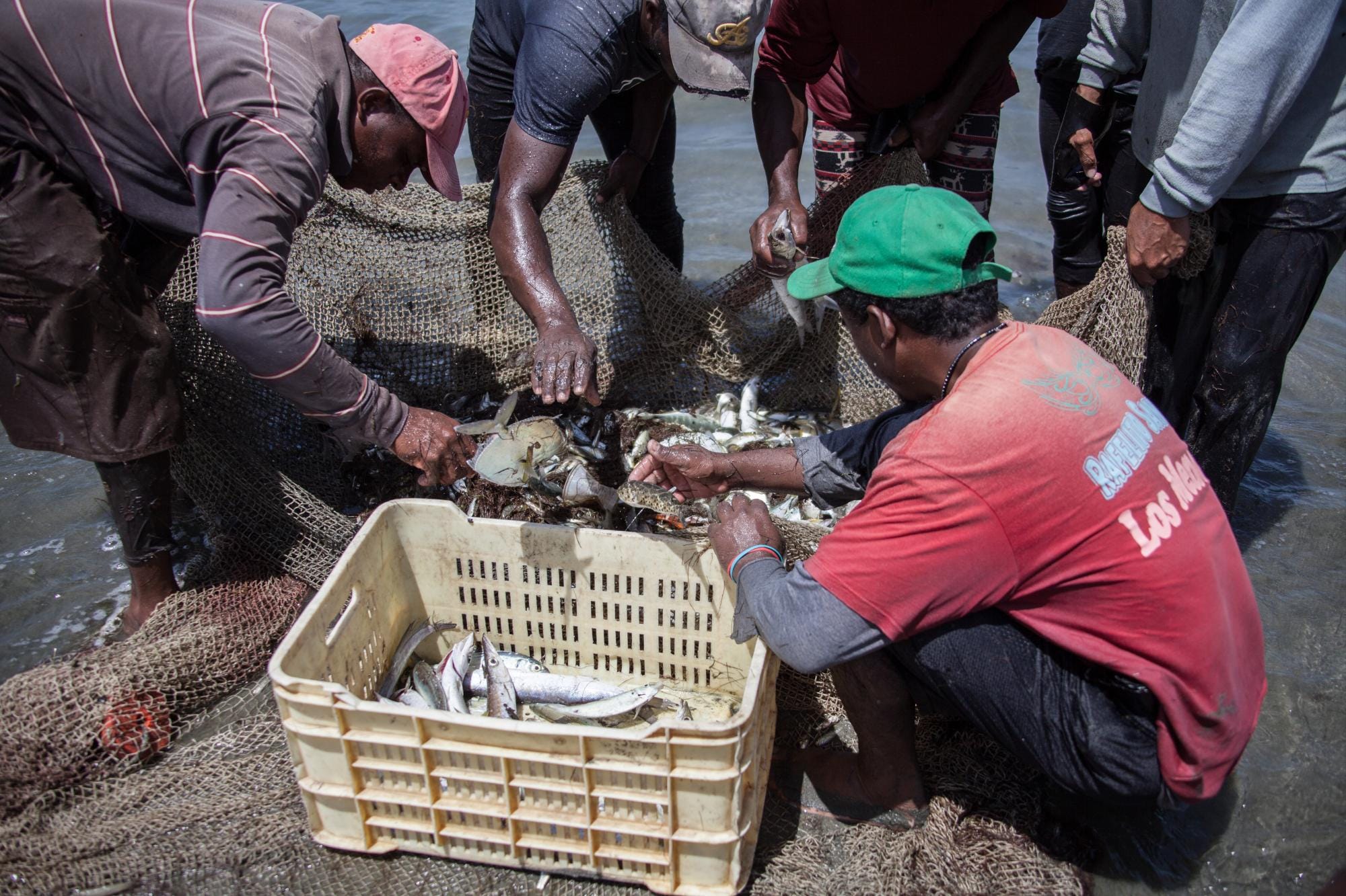 La pesca consume la vida marina de Montecristi | by Diario Libre ...