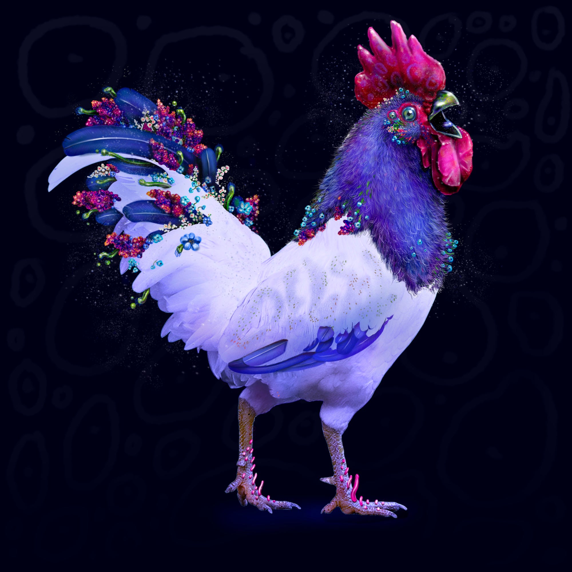 Roostr | Public Mint + Claims + Rarities | by chikn.farm | Medium