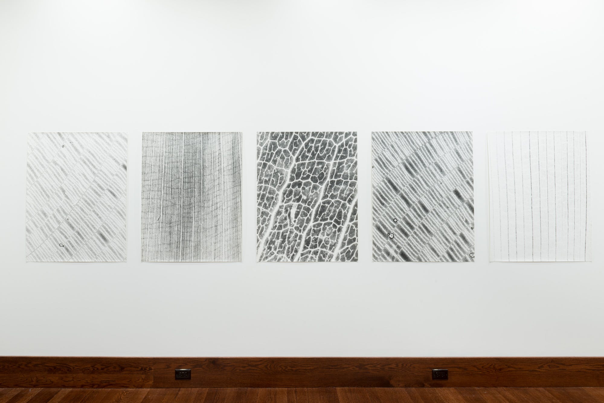 Field Guide: Photographs by Jochen Lempert - CincyArtMuseum - Medium