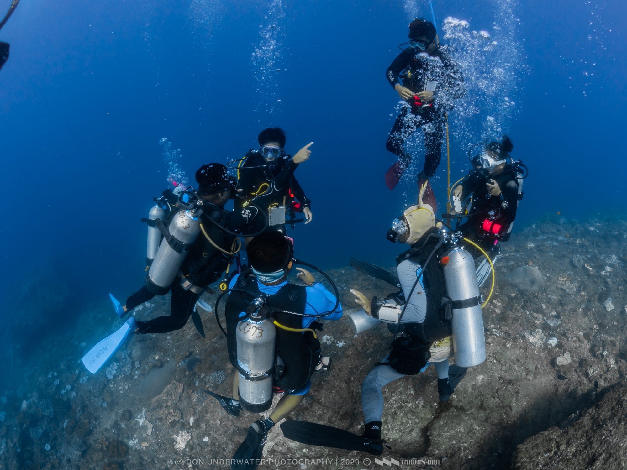 Taiwan Dive: The Largest Diving Center in Taiwan | by RTM泛旅遊 | RTM泛旅遊 ...