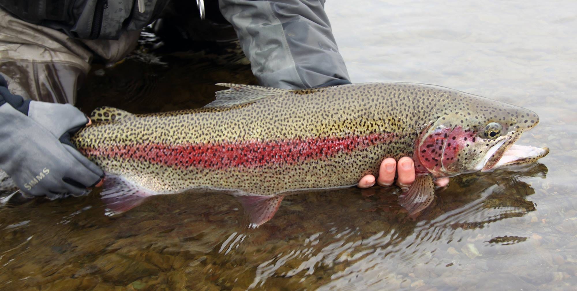 Float & Fish Alaska’s National Wildlife Refuges | by U.S.Fish&Wildlife ...
