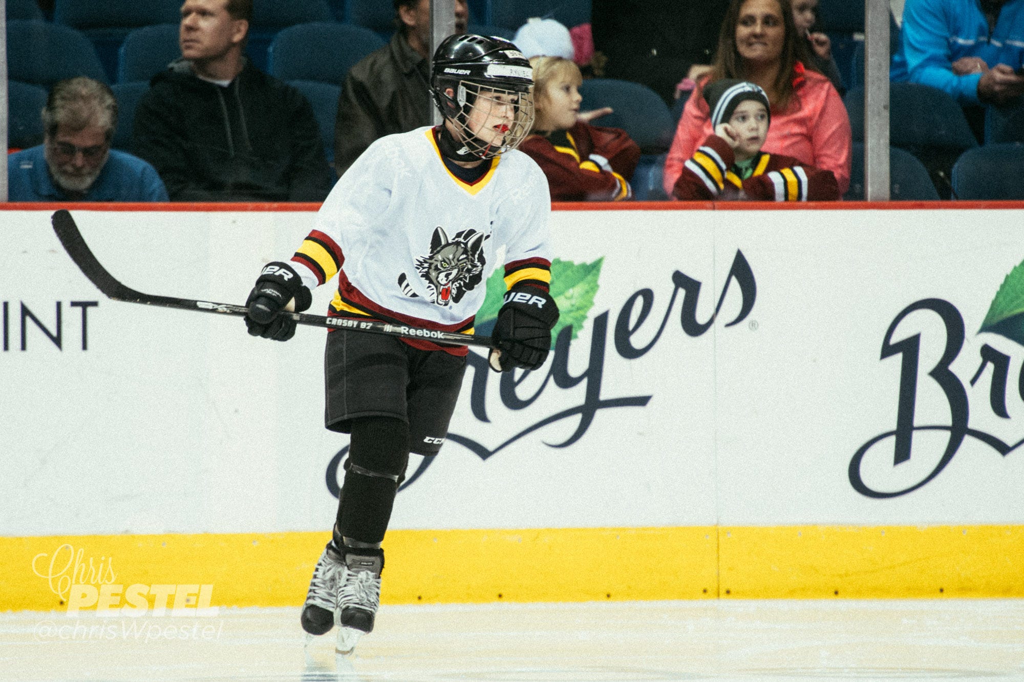 DANCES WITH WOLVES. Youth Hockey Club gets AHL Ice Time | by Chris ...