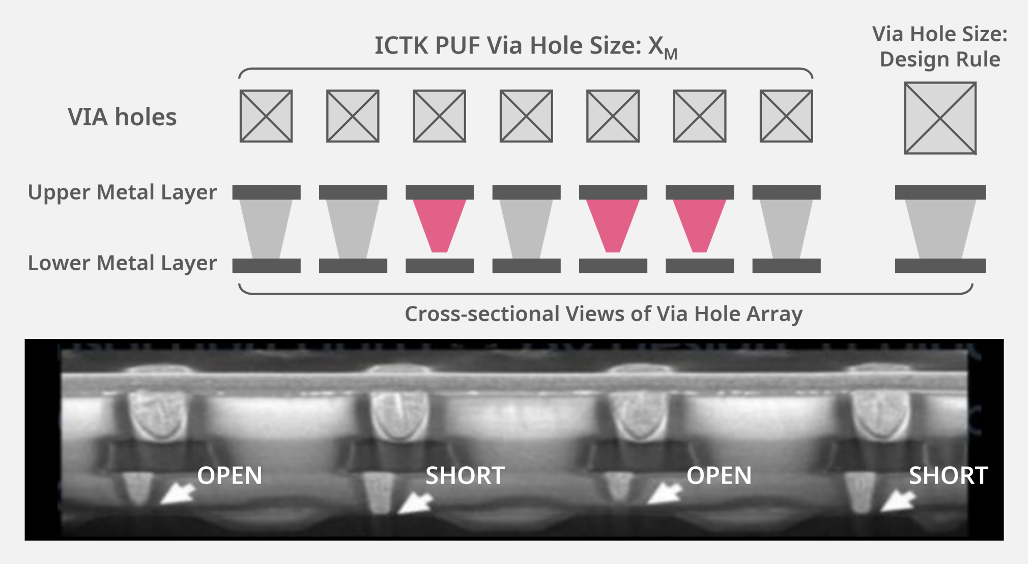 Whitepaper Explained① — So What is PUF, Anyway? | by Color Platform | Color Platform | Medium