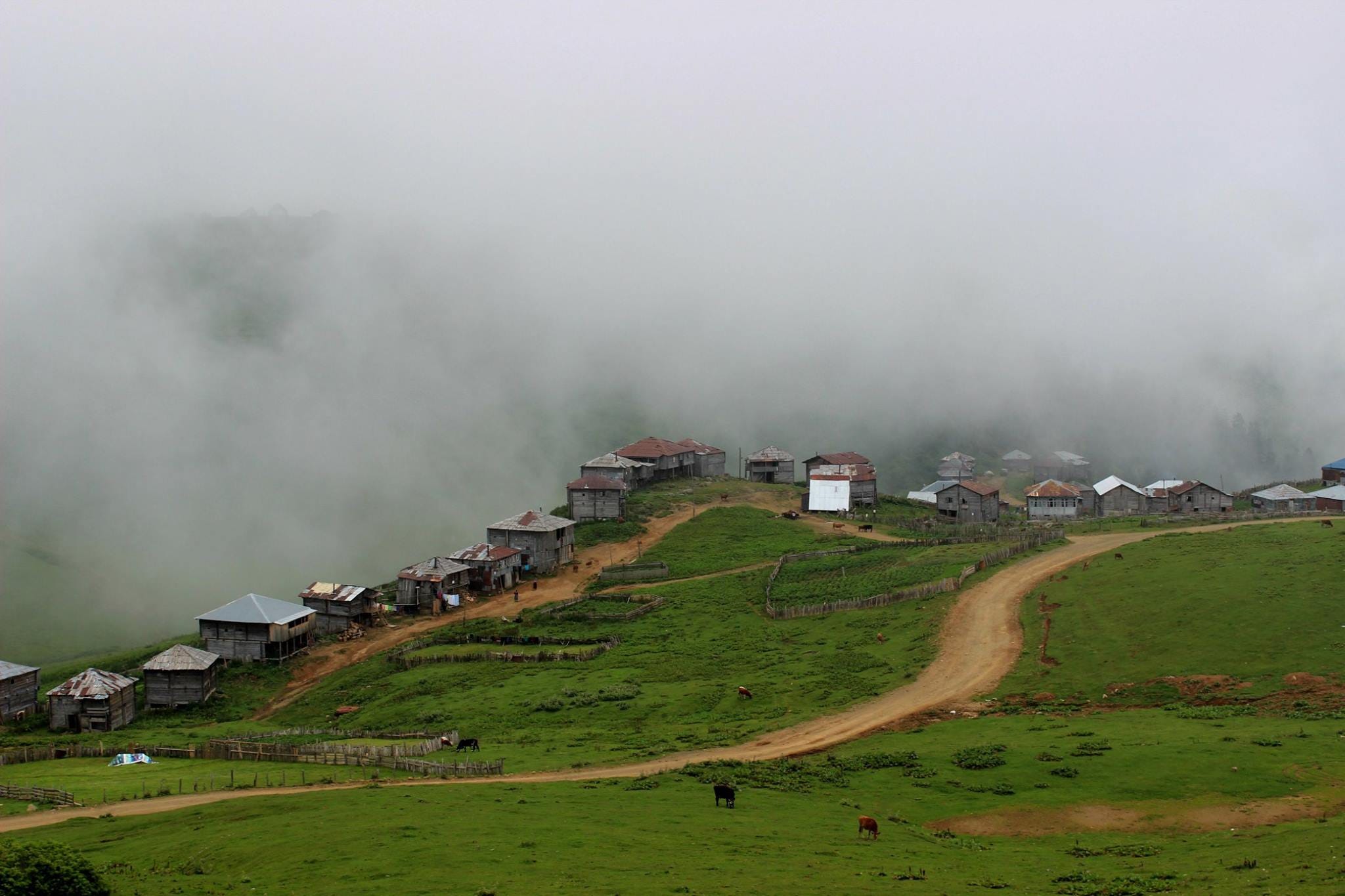 How I Fell in Love with Rural Georgia! | by Natia Pashurishvili | Medium