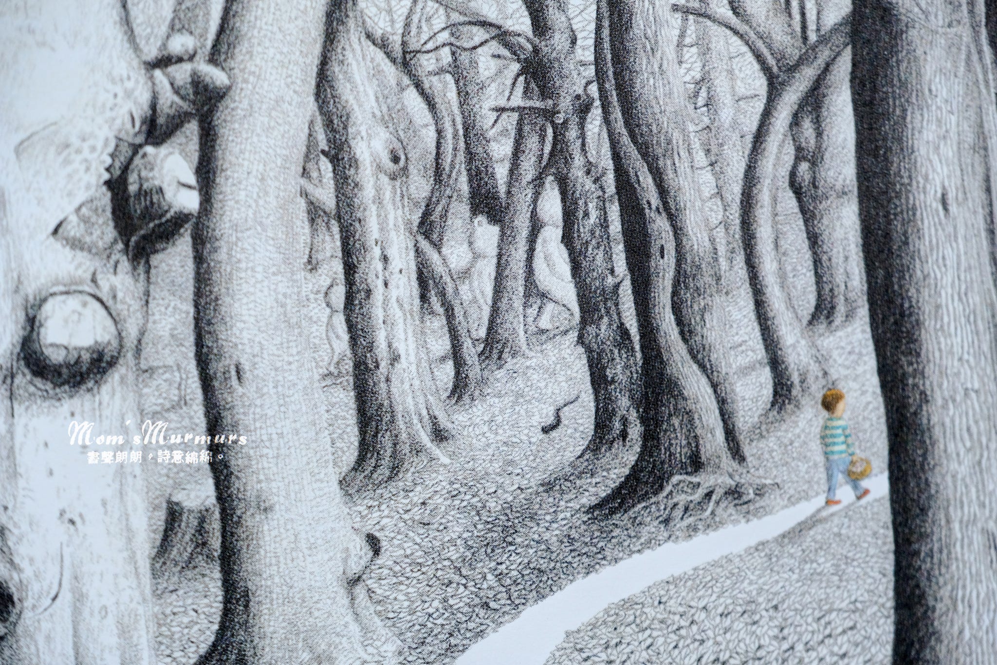 Into the Forest. Anthony Browne・英文繪本 | by Noel Lu | Mom's Murmurs | Medium