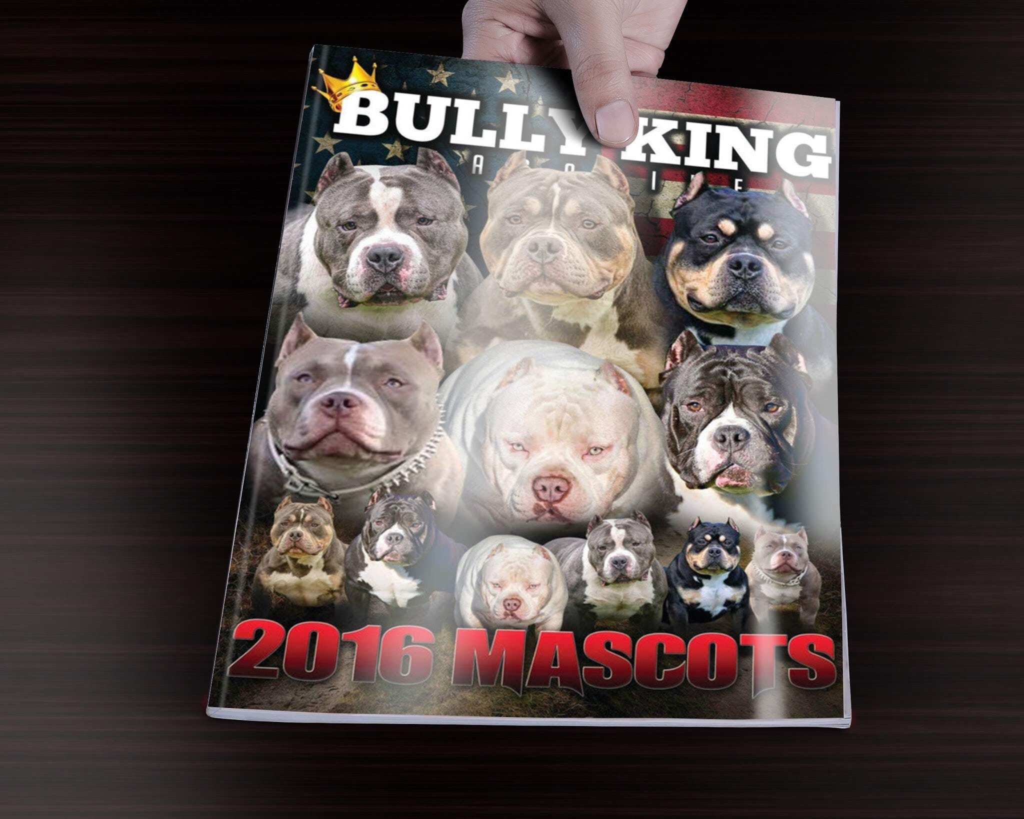 Bully Breed News, Articles, Breed Information, Diet & Health Tips ...