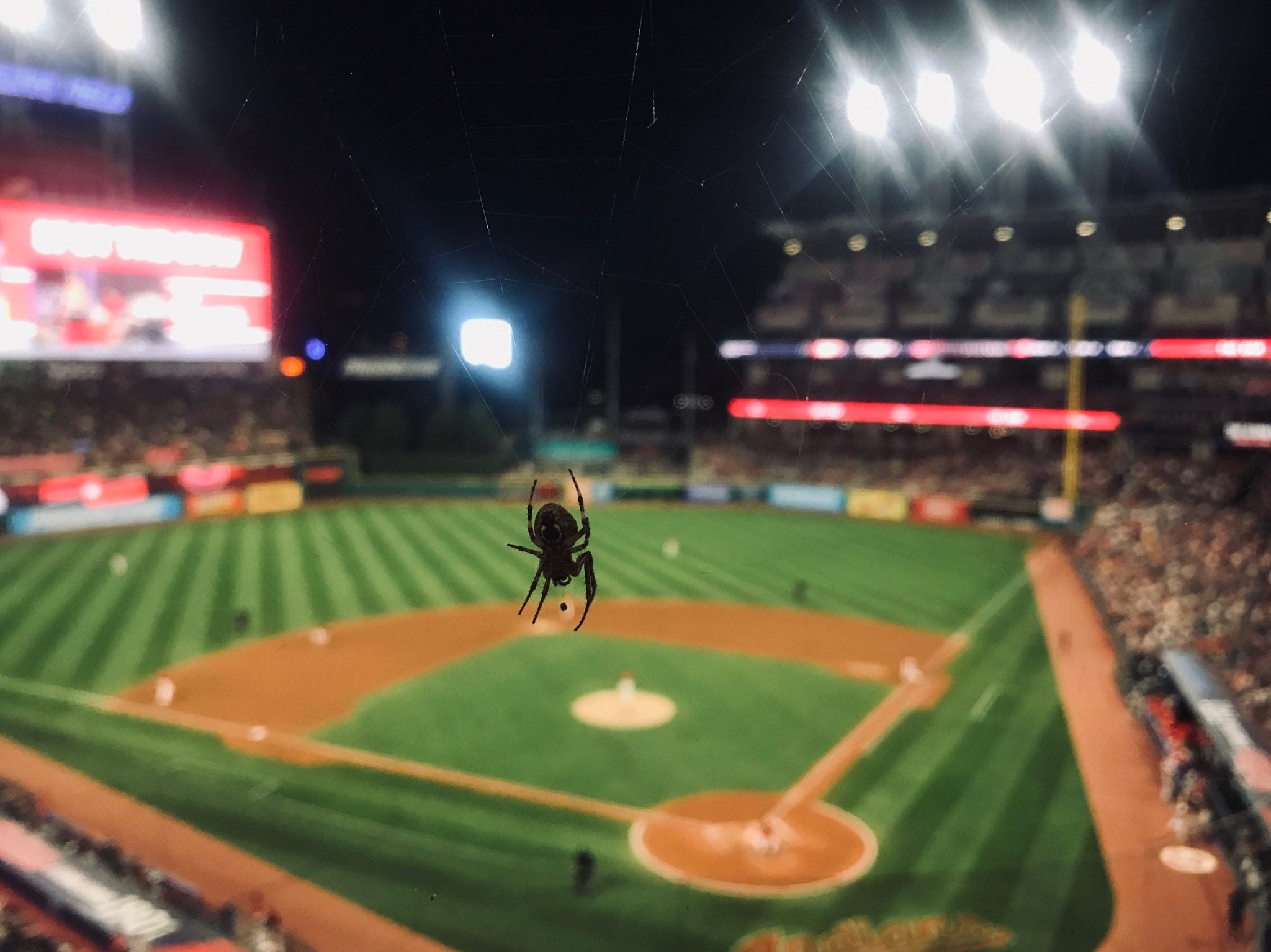 The Cleveland Spiders.. By Anthony Castrovince/MLB.com | by Anthony ...