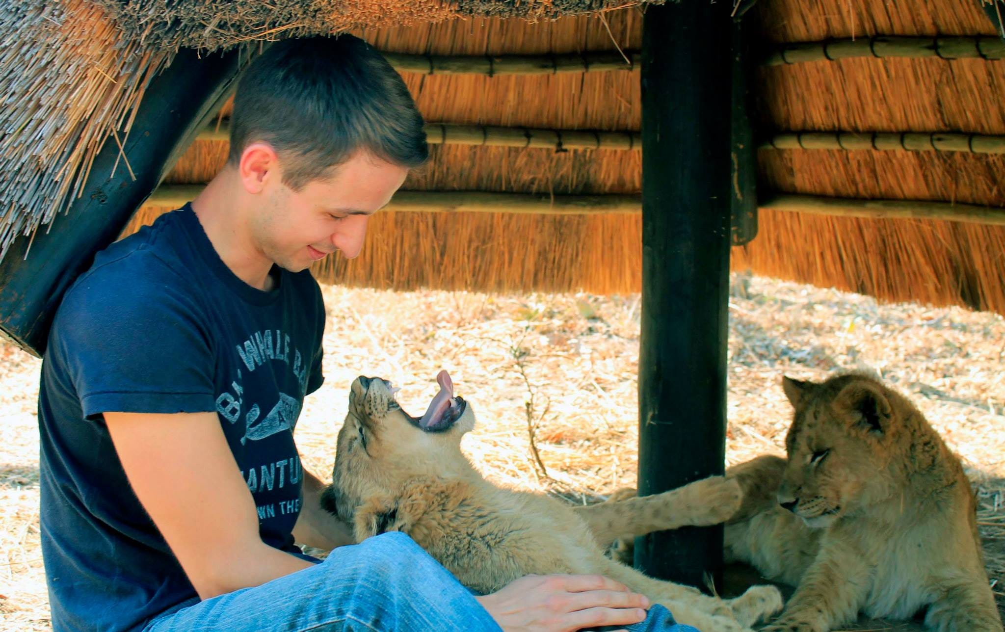 That time a dormant bug came alive and everything went wrong at the same time | by Skyscanner ...