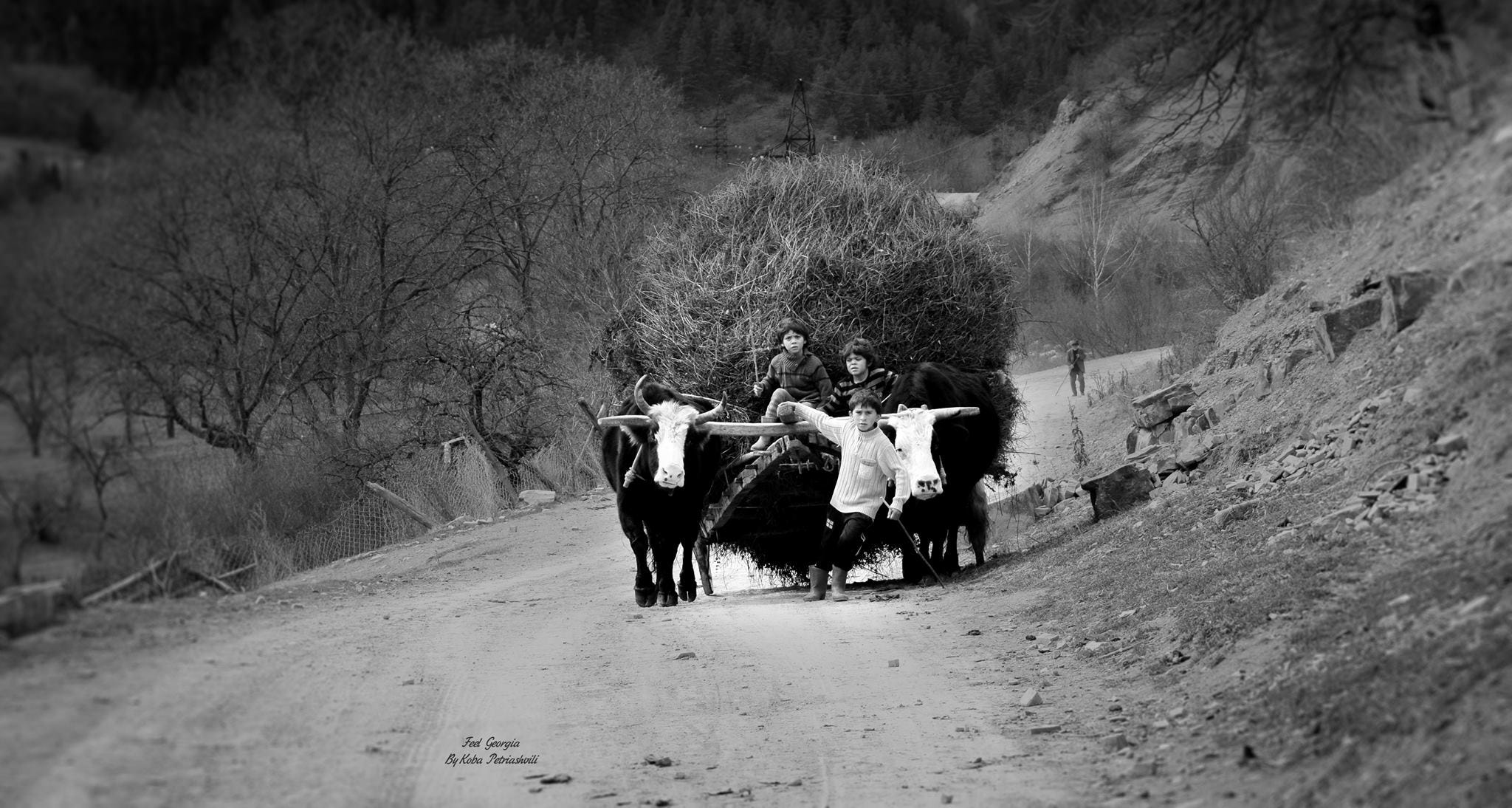 How I Fell in Love with Rural Georgia! | by Natia Pashurishvili | Medium