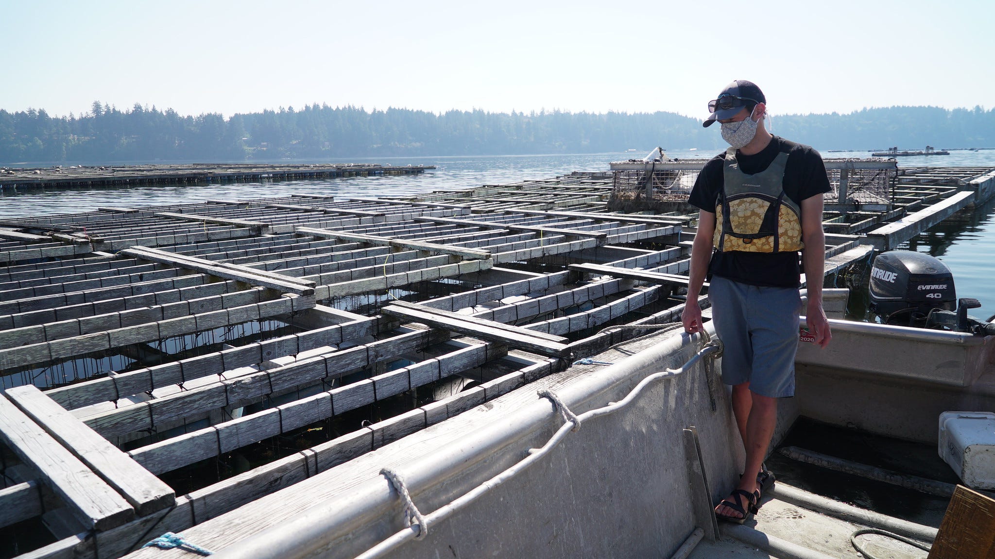 Turning Mussel Waste into Aquaculture Gold | by Western Washington ...