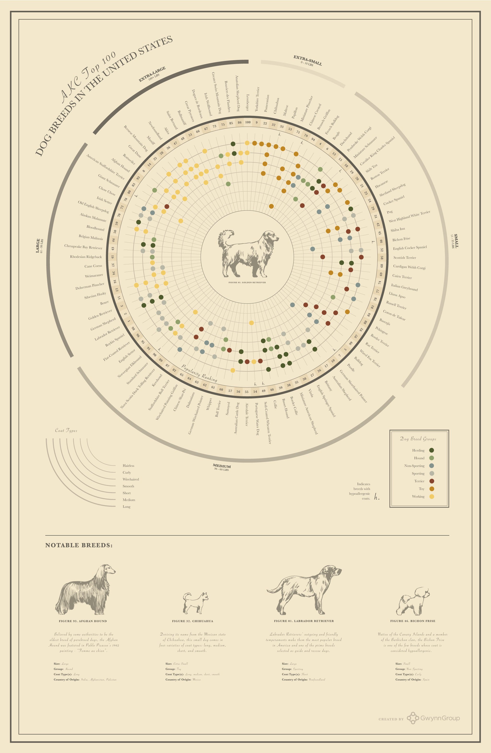 AKC Top 100 Dog Breeds in the United States | by Gwynn Group | Medium