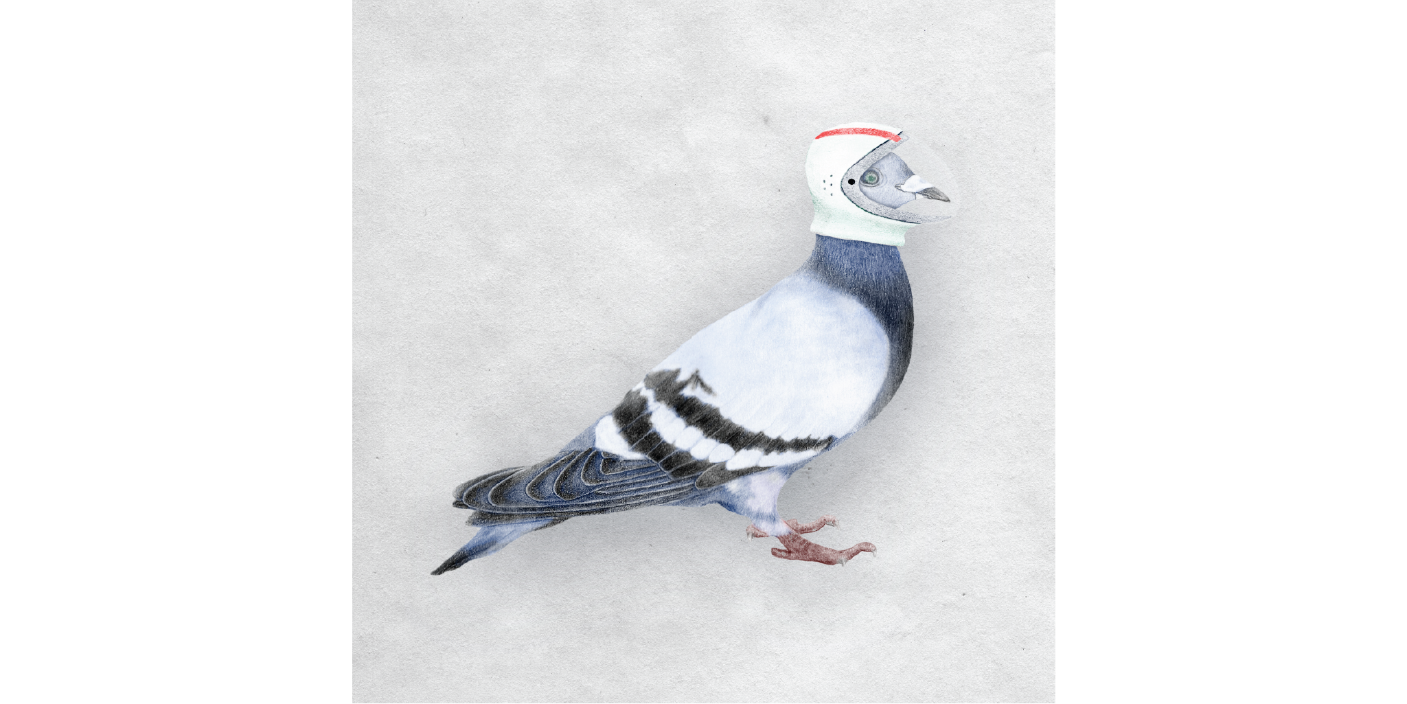 25 Days of Space Pigeons. A ode to our iconic mascot to celebrate… | by ...