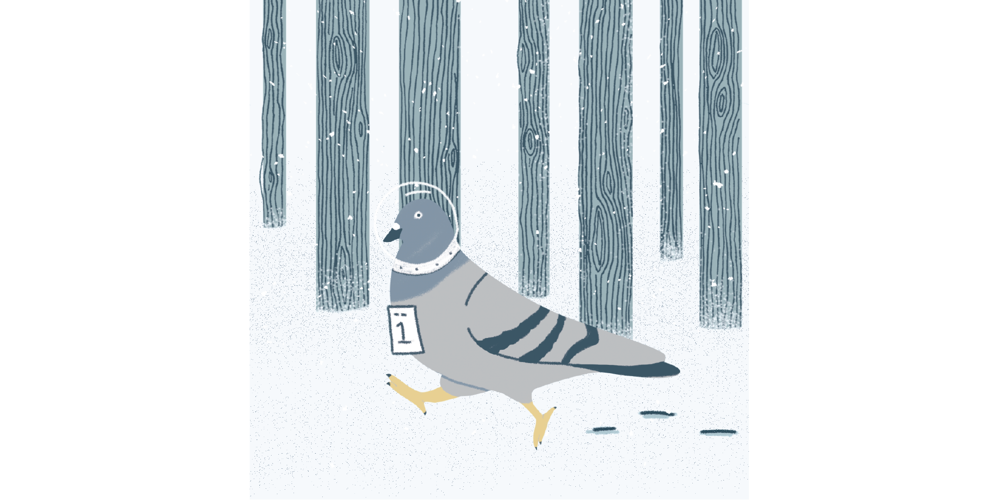 25 Days of Space Pigeons. A ode to our iconic mascot to celebrate… | by ...