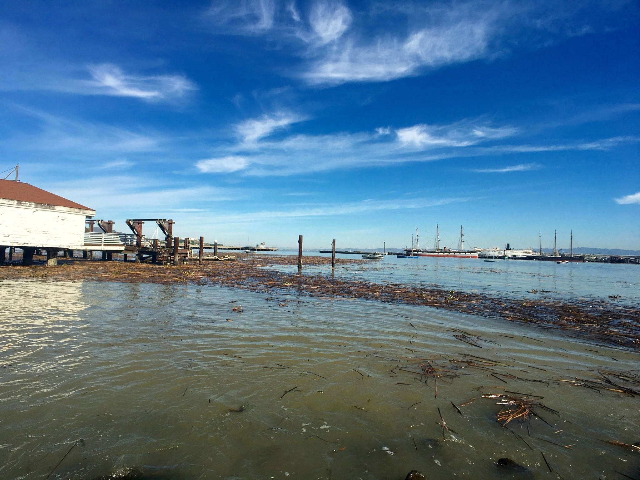 What exactly is a sustainable fishery? I asked 3 marine biologists | by ...