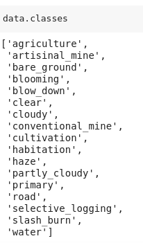 Multi-label classification using fastai — a shallow dive into fastai data-block API | by Rrohan ...