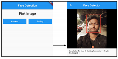Developing a face detection application using Flutter