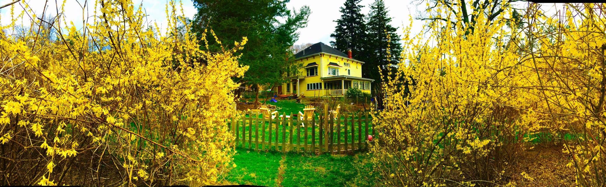 The Big Yellow Farmhouse. Meet the Big Yellow Farm House | by Jay ...