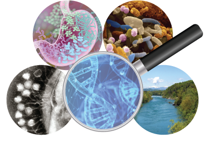 Aplicação da bioinformática em estudos de metagenômica voltados a saúde ...