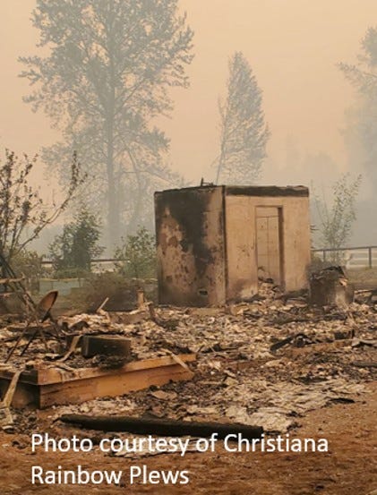 Get Out! Now! A Firefighter’s Account of the Holiday Farm Fire of 2020 ...