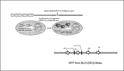 Ten important, interesting and weird, patents of the last 10 years | by ...