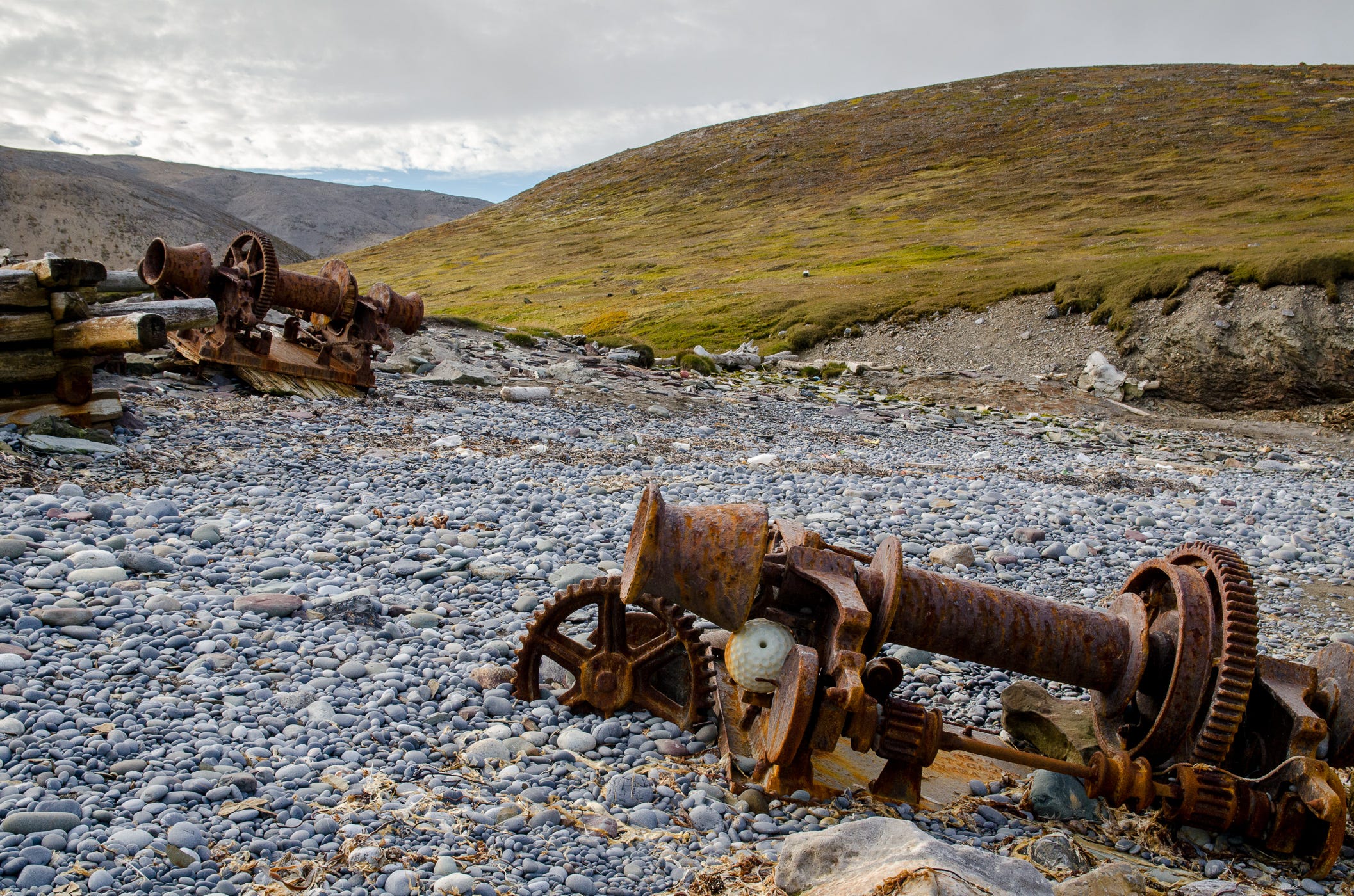 Svalbard: death and life. “The story of Svalbard is a story of… | by ...
