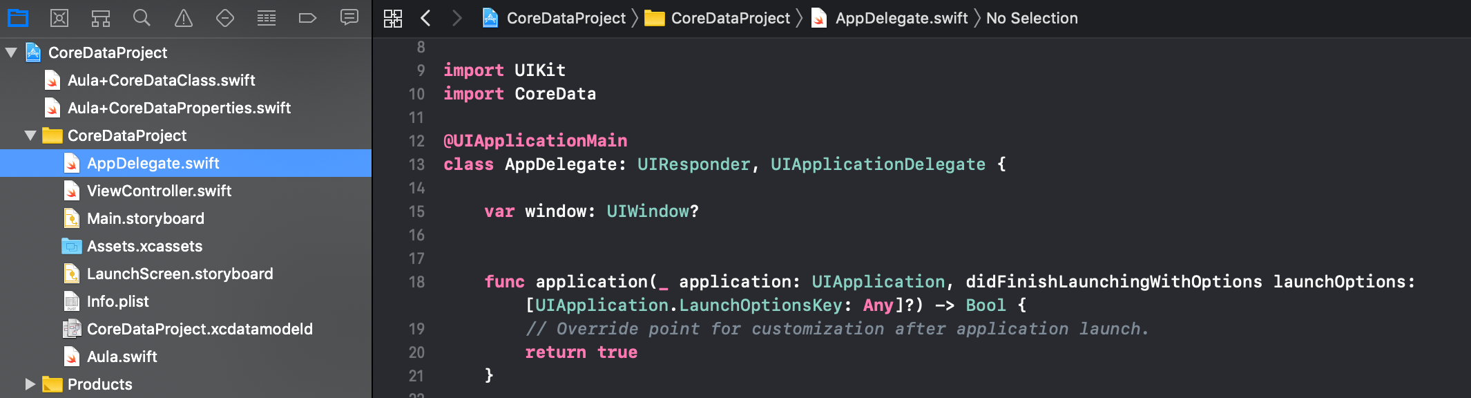 Usando Core Data com JSON local. Aprenda nesses pequenos passos a usar… | by Zewu Chen | Apple ...