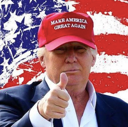 Donald Trump’s Fan Base. I n an era of surprising politics with… | by ...