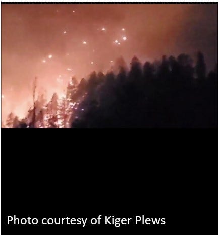 Get Out! Now! A Firefighter’s Account of the Holiday Farm Fire of 2020 ...