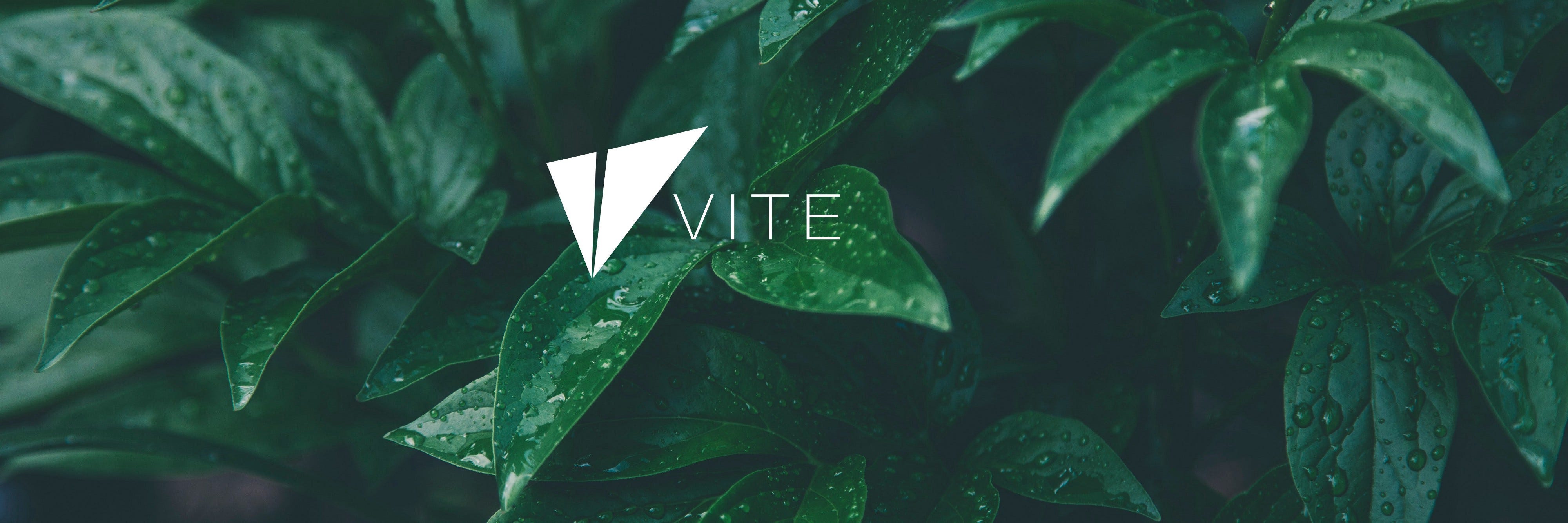 Tech Series #9: Five Charts to Understand How ViteX Works | by Christy ...