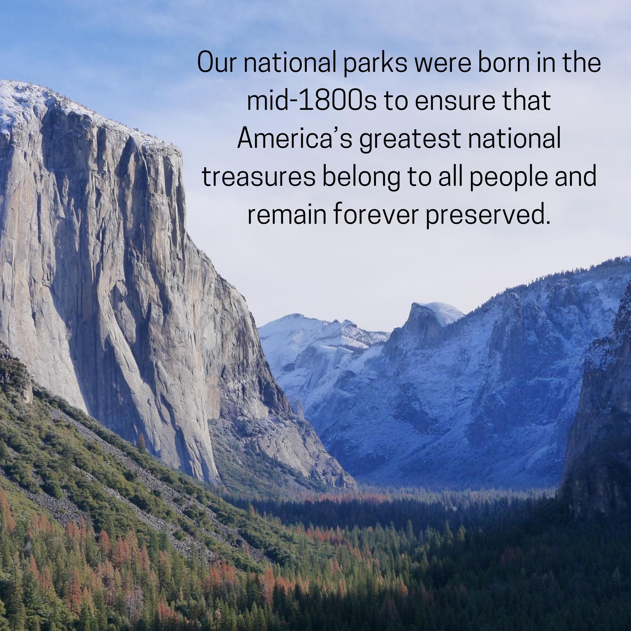 Why Our National Parks are Under Threat | by Run for Climate | Medium