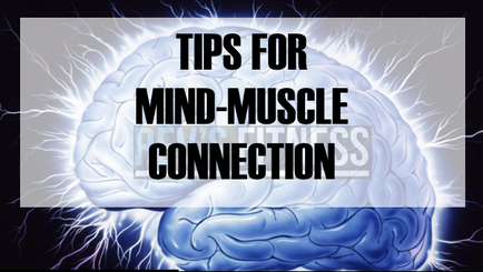 Tips for a Mind-Muscle Connection | by Revs Fitness | Medium