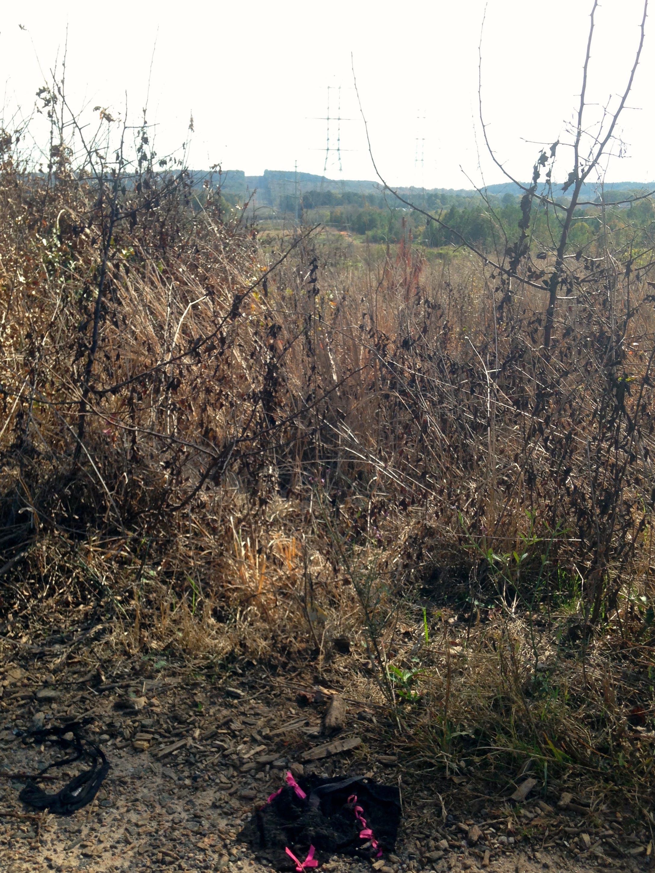 Weird South:. The Old ATL Prison Farm; As seen in… | by Lauren King ...